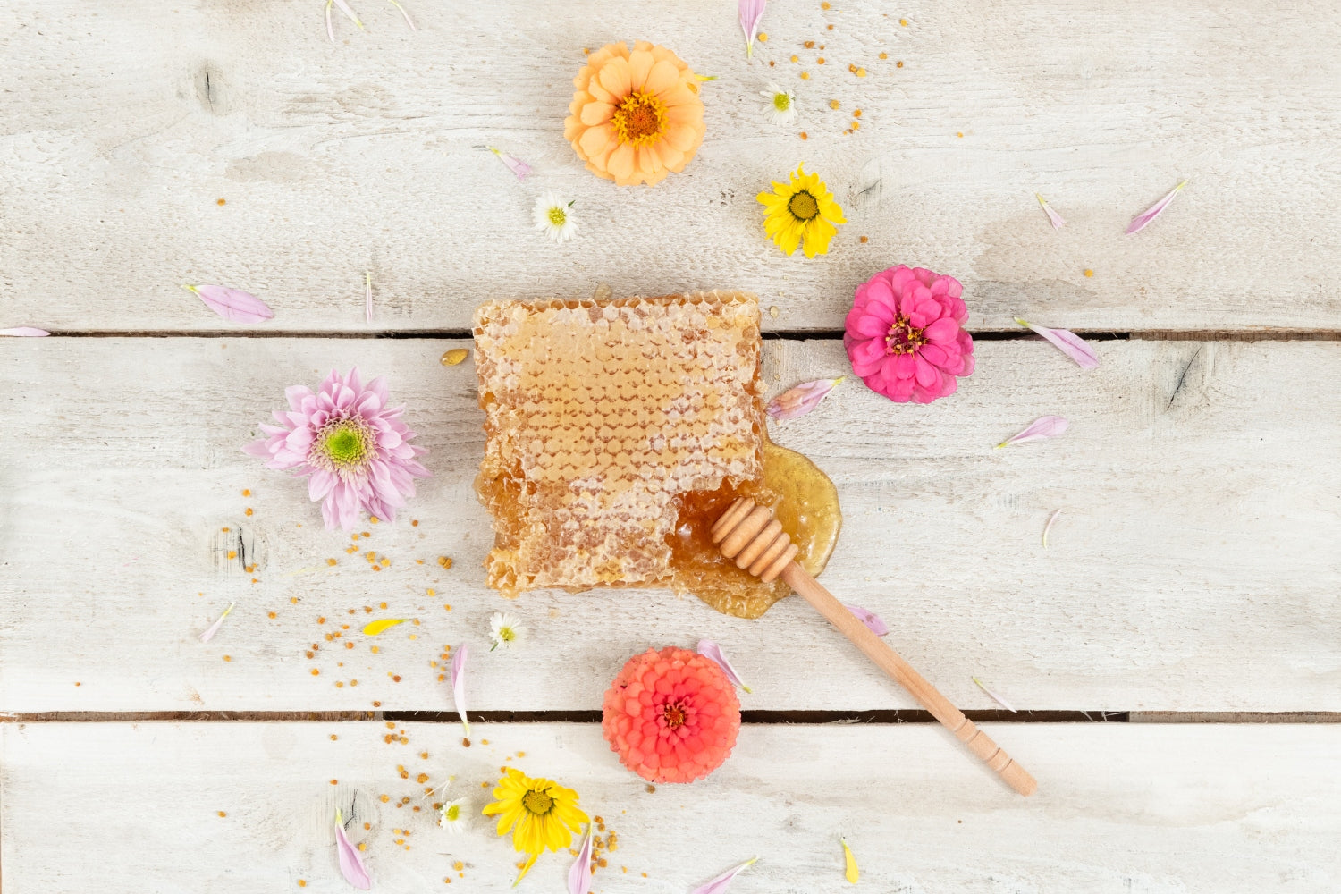 Capital Bee Company | Raw Specialty Honey & Unique Gifts | Capital Bee ...